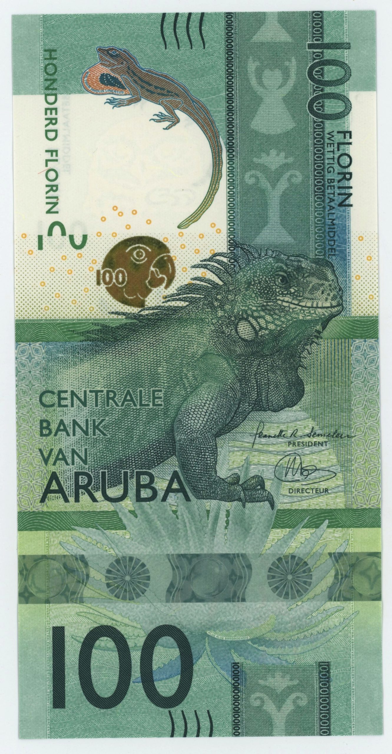 Aruba 100 Florin 1-1-2019 Pick 24 UNC Uncirculated Banknote Iguana ...